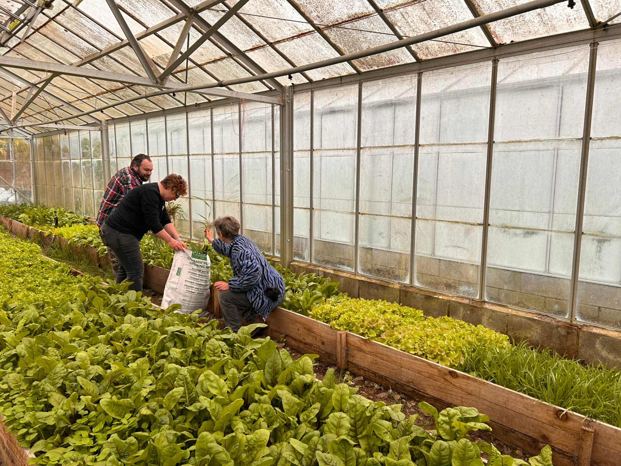 Meet the community gardening groups breathing new life into Cardiff ...